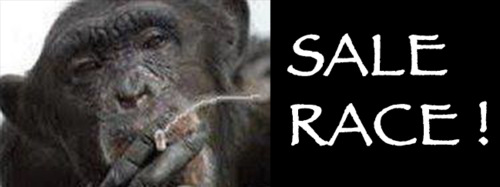 Publication du livre d'Alexis Rigo - CotizUp.com