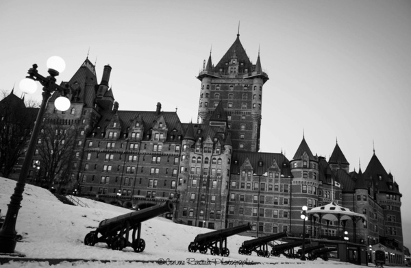 Expo photo - CotizUp.com