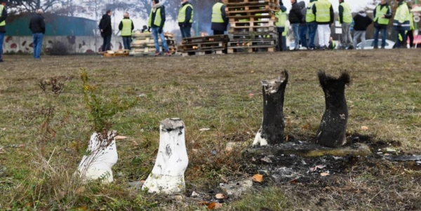 Des vaches sur mon rond-point ! - CotizUp.com