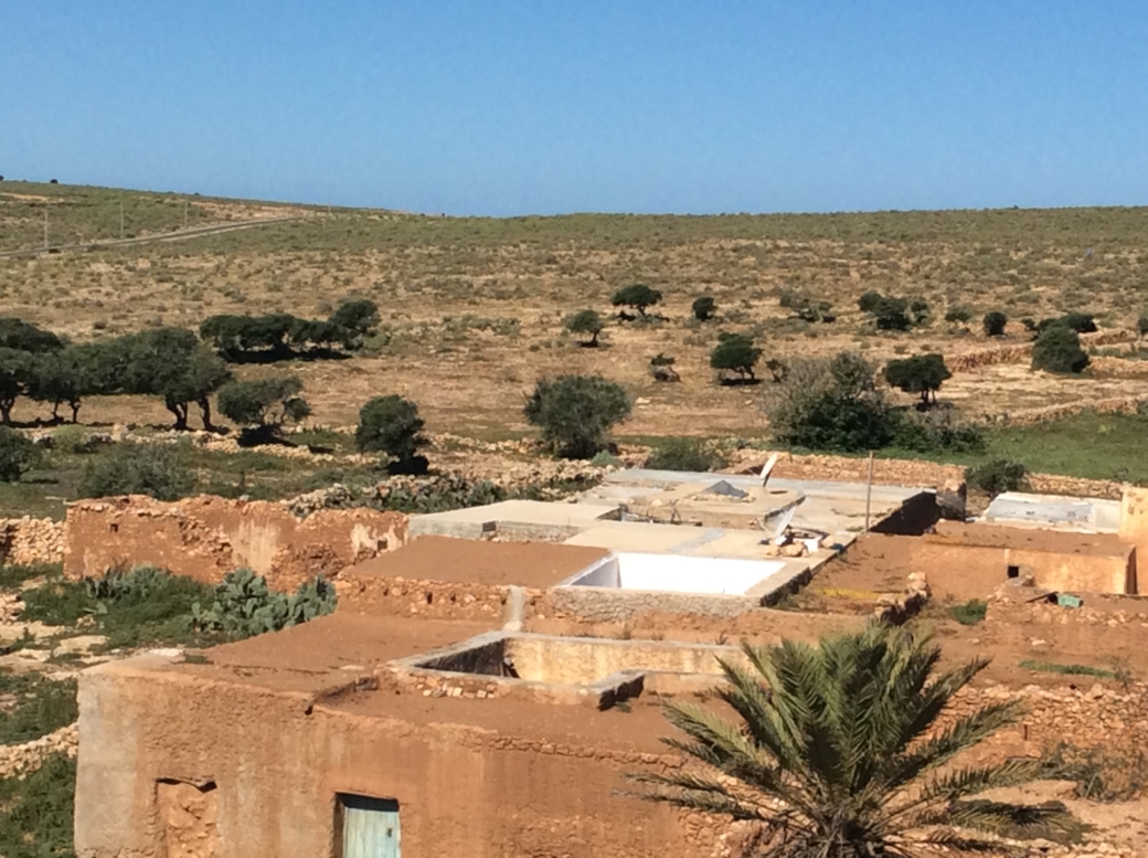 Coronavirus: Association Ouled Noumer (AON) - CotizUp.com
