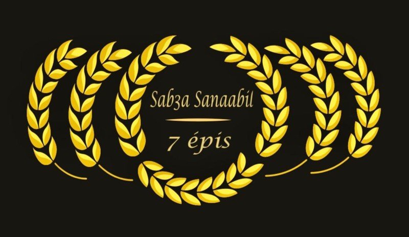 association sab3a sanaabil - CotizUp.com