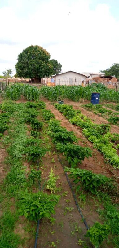 Mise en place d'une ferme intégrée agro-écologique - CotizUp.com
