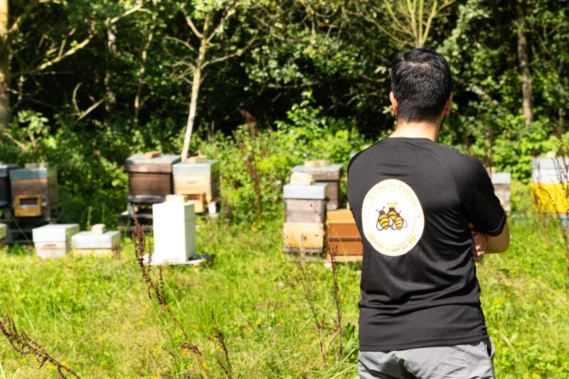 Soutiens les abeilles et ton apiculteur local - CotizUp.com
