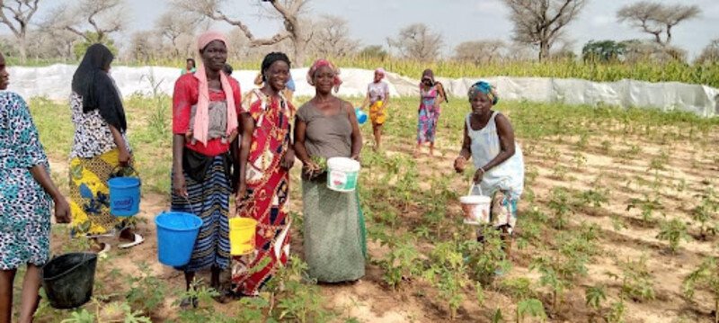 Soutenez un projet solidaire 100% Féminin - CotizUp.com