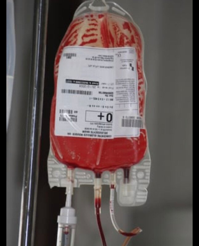 Pour Fatima - CotizUp.com