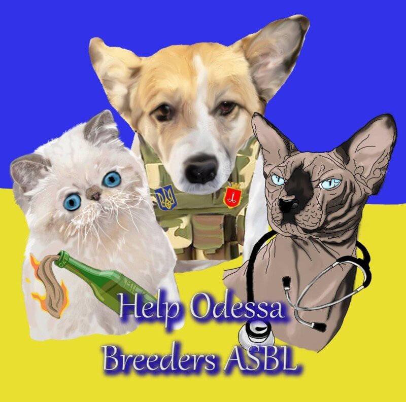 Help odessa breeders cagnotte - CotizUp.com