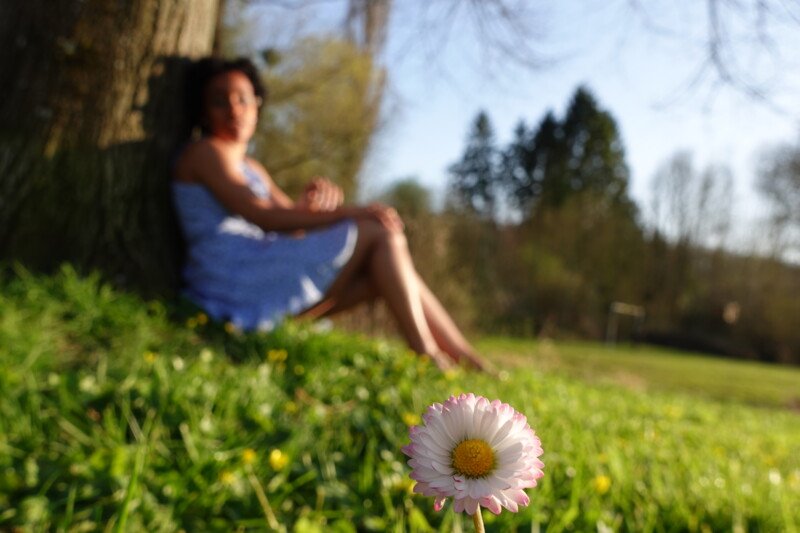 Dream’s Projects - CotizUp.com