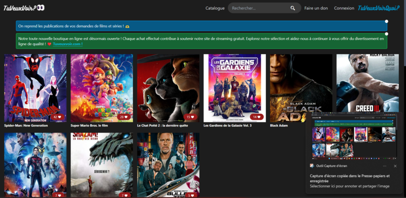 Tuveuxvoir.fr doit revenir ! - CotizUp.com