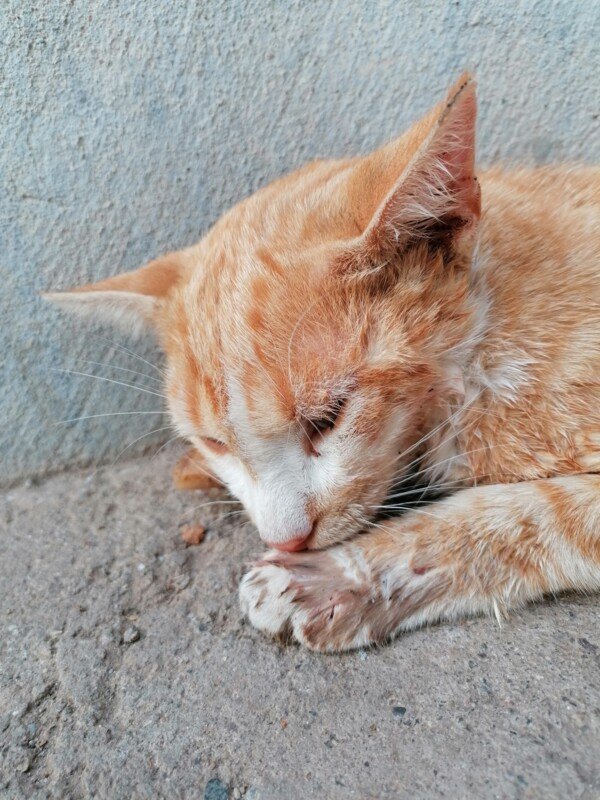 Help for better life🙏 ️ - CotizUp.com