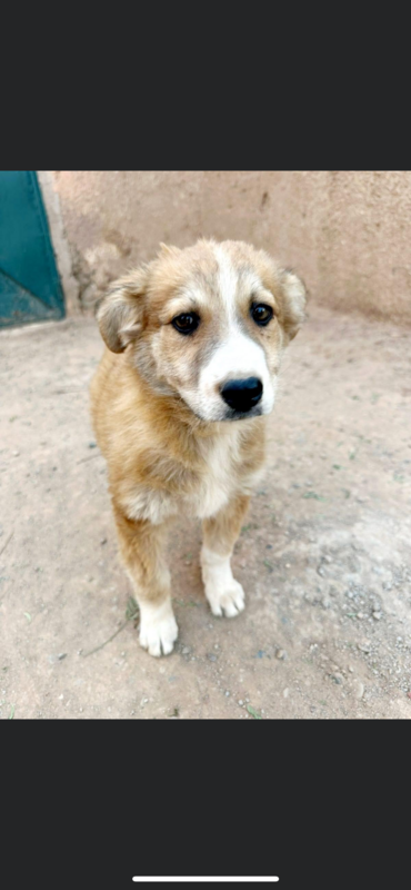 Soutenir le ranch beldi 2024 - CotizUp.com