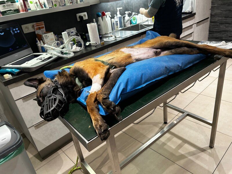 Opération de Doby - CotizUp.com