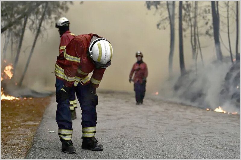 Portugal está a arder !!! - CotizUp.com