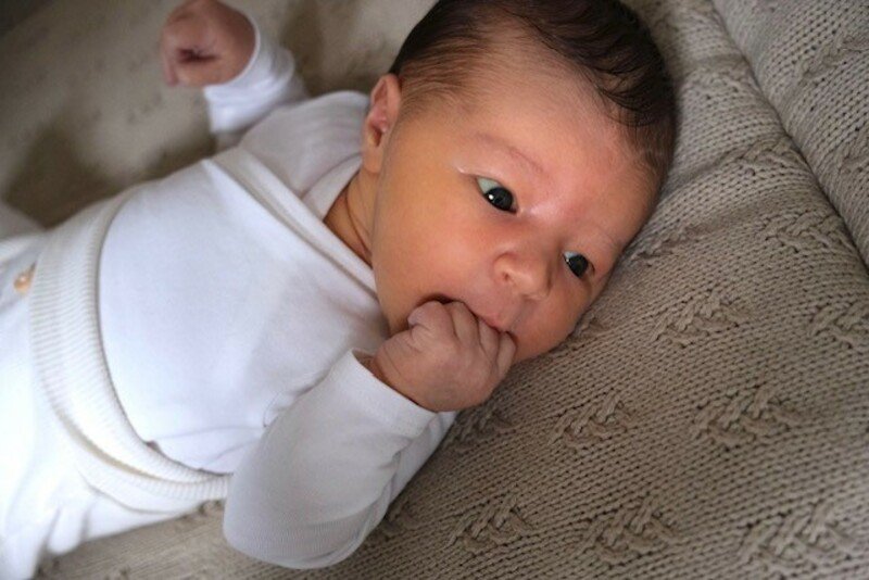 Daddy Max 👶🍼 - CotizUp.com