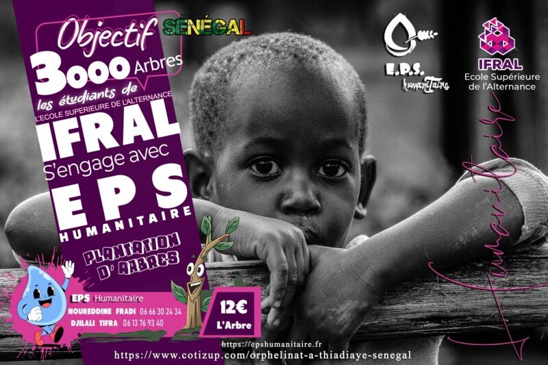 Objectif 3000 arbres au Sénégal - CotizUp.com